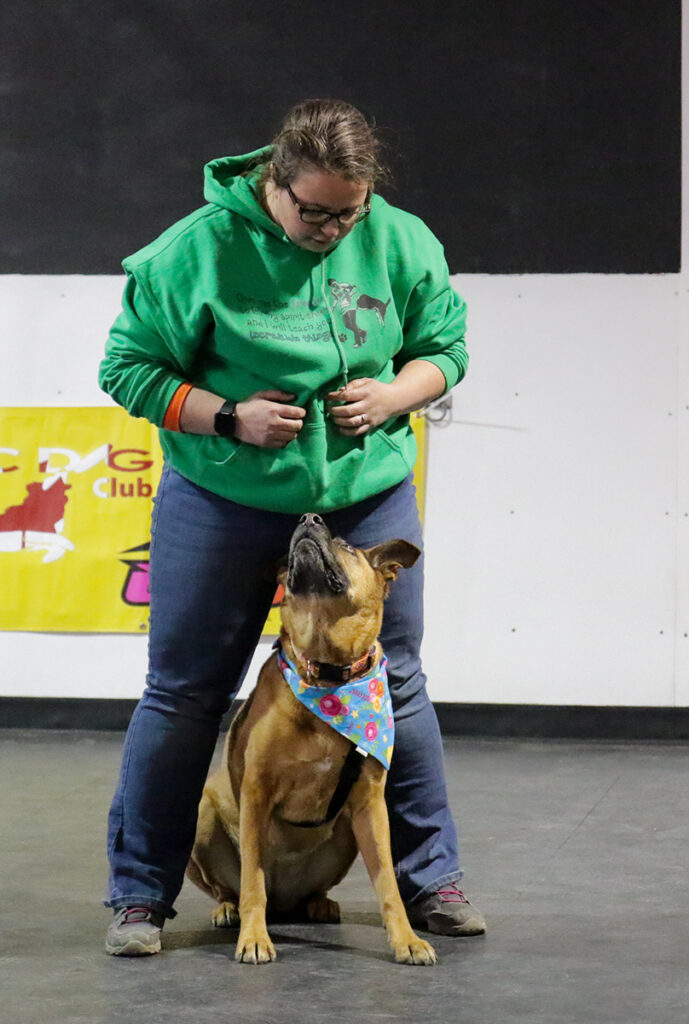 Group Classes – Paws – N – Relax